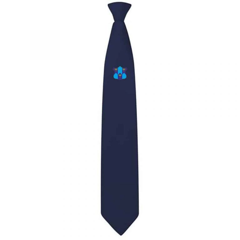 Maple Hayes Hall School Tie | Just Schoolwear