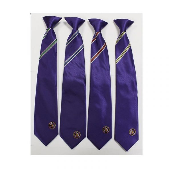 Nottingham Emmanuel School Tie | Just Schoolwear