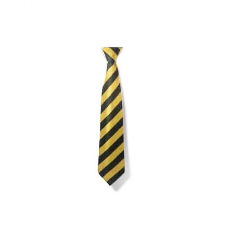 Colonel Frank Seely School Tie | Just Schoolwear